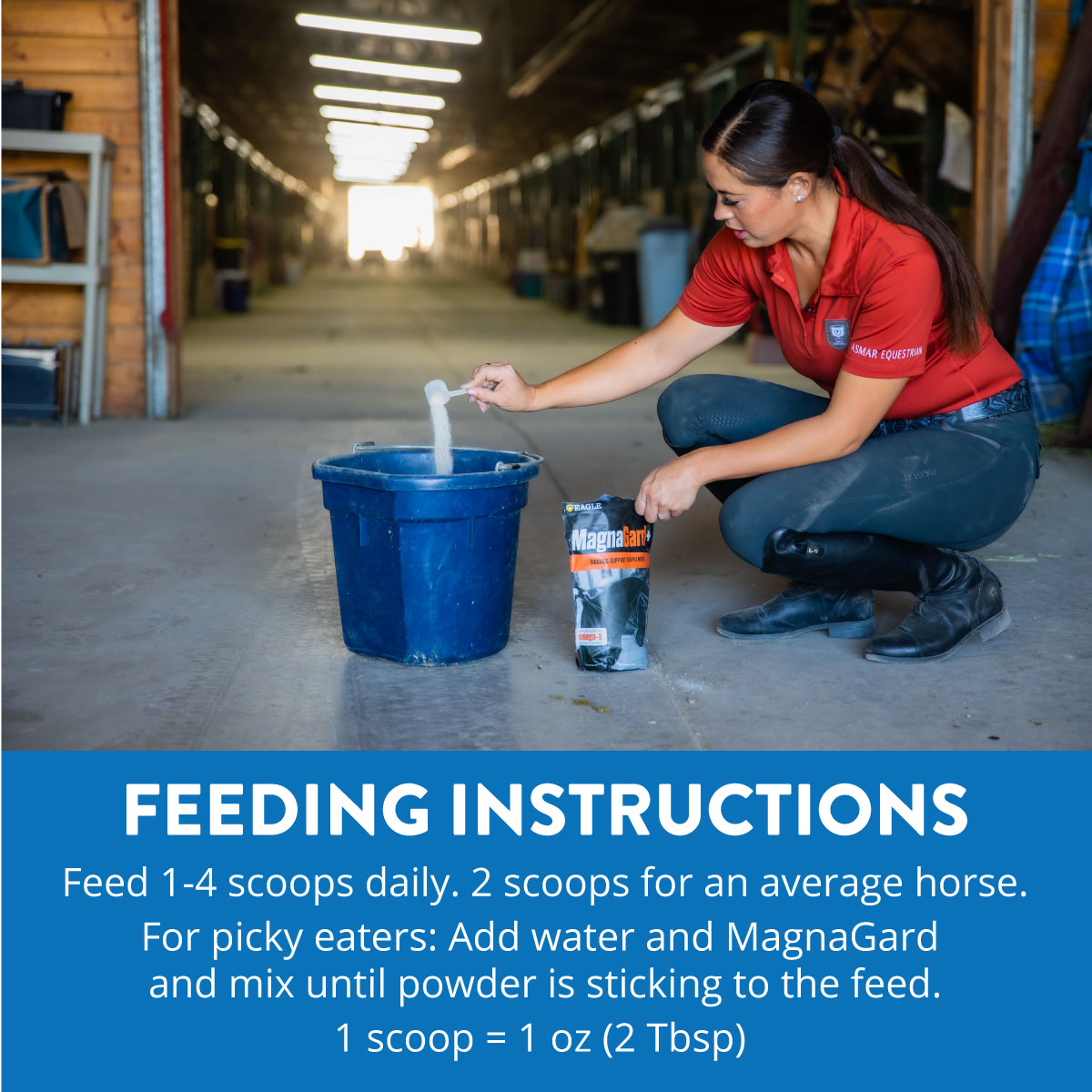 MagnaGard Bentonite and 6 Tubes of Pre-Performance Horse Calming Paste ...